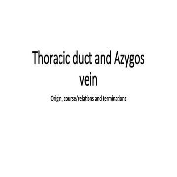 Comprehensive Anatomy of the Thoracic Duct and Azygos Vein: Origin ...