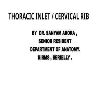 Thoracic inlet AND CERVICAL RIB SYNDROME. | PPTX