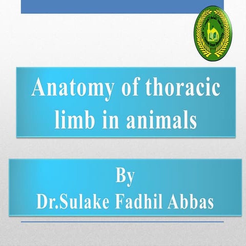 Skeletal structure of the Equine Forelimb | PPTX