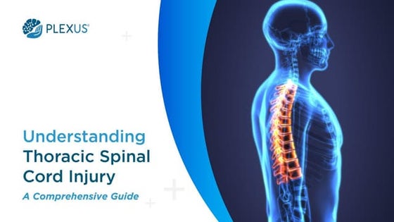 An Overview of Lumbar Spinal Cord Injury | PPT