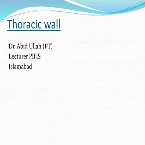 Thorax Anatomy | PPTX
