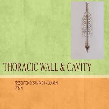Thoracic wall 1 | PPTX