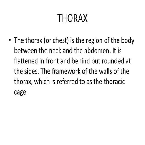 Thorax second part anatomy | PPT