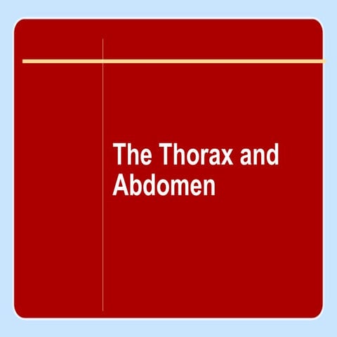 Thorax and Abdomin | PPT