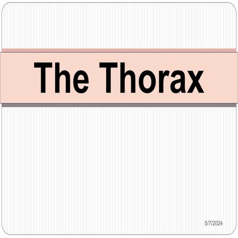 Thorax Anatomy | PPTX