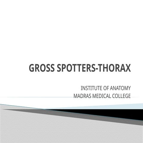 THORAX Gross in anatomy spotters ppt.pptx
