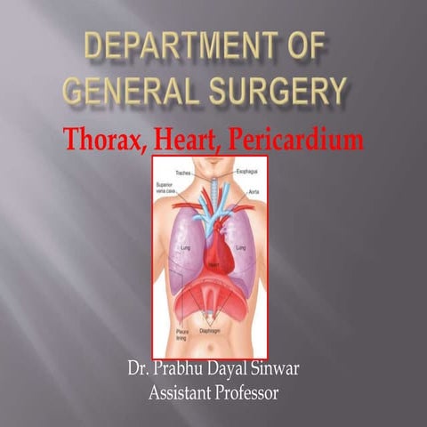 Thorax, heart, pericardium | PPT