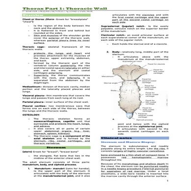 Thoracic wall 1 | PPTX