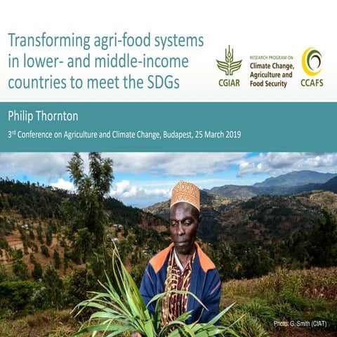 Transforming agri-food systems in lower- and middle-income countries to meet the SDGs | PDF
