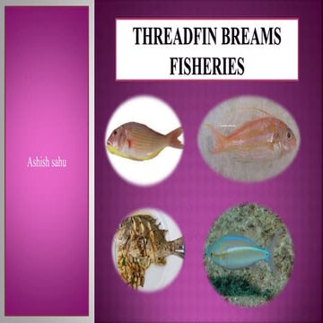 Threadfin breams fisheries Ashish sahu | PPTX