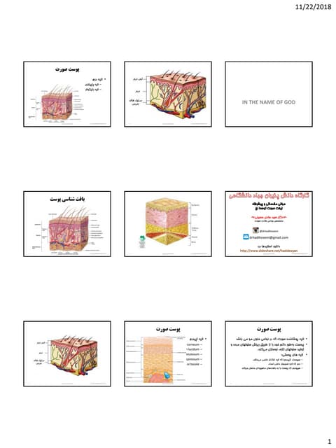 Anatomy of The Skin | PPT