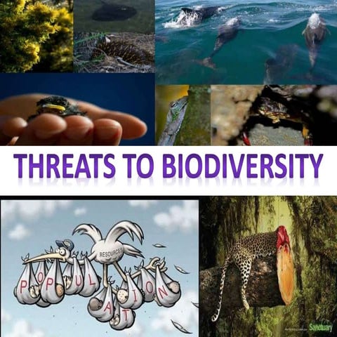 Biodiversity & Conservation | PPT