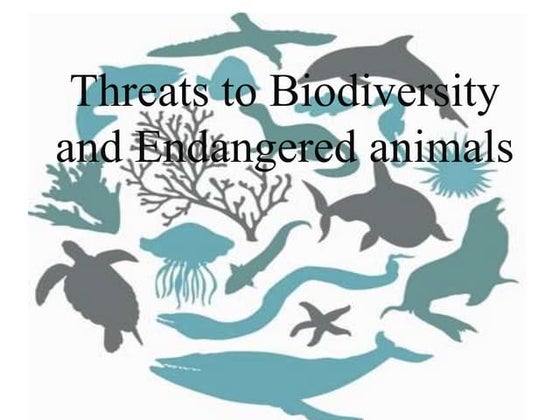 Endangered animals | PPTX | Environment | Science