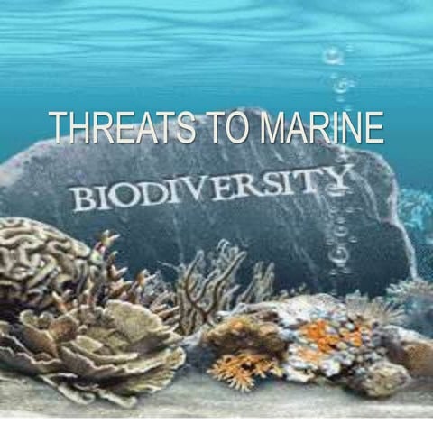 Threats to marine biodiversity | PPTX