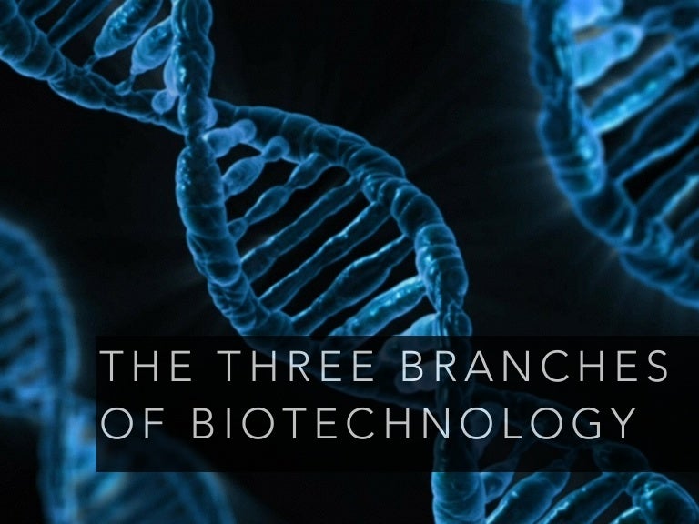 The Three Branches of Biotechnology