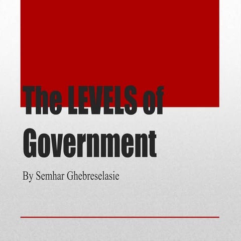 Three levels of government | PPTX