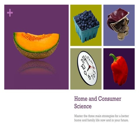 Home and Consumer Science | PPT