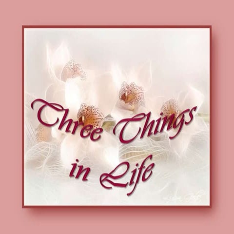 Three Important Things in Life | PPS
