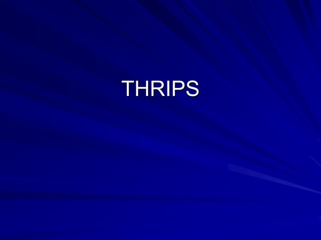Thrips | PPTX