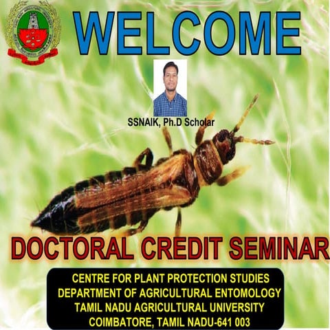 Thrips as insect vectors for the plant pathogens-SSNAIK TNAU | PPT