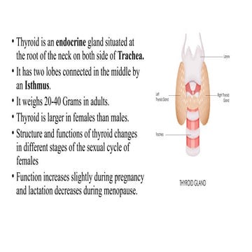 Thyroid gland structure and function | PPTX