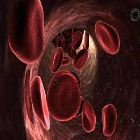 Thromboelasticity An Introduction for Students | PPTX