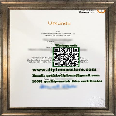 TH Rosenheim urkunde, TH Rosenheim degree | PDF