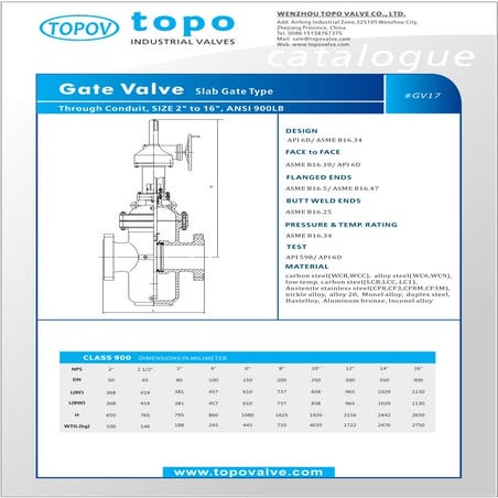 Through conduit slab gate valve 900 lb topo valve catalogue | PDF