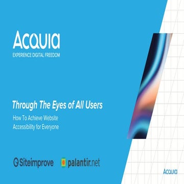 Through the Eyes of All Users - How to Achieve Website Accessibility ...