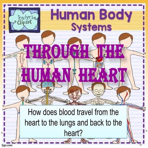 Through the Human Heart - How Blood Travel inside the heart.pptx