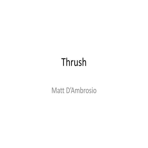 Thrush(2) | PPTX
