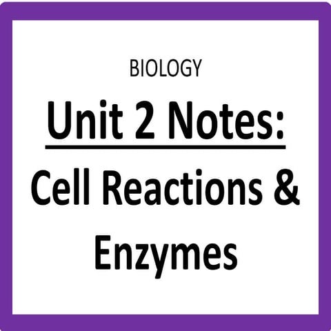 Ths general biology unit 2 our bodies cell reactions and enzymes notes ...