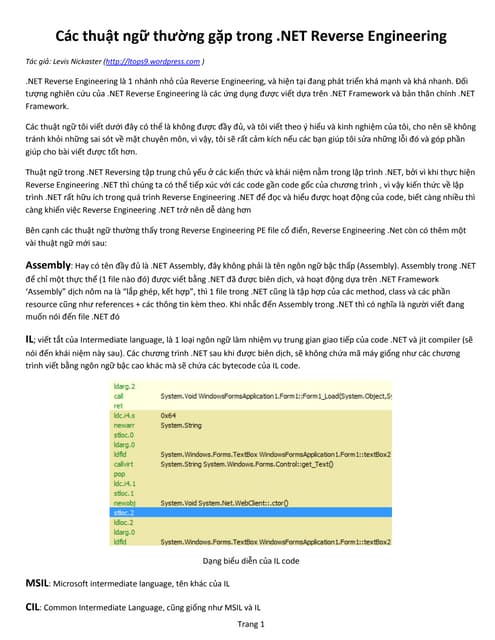 Reverse Engineering .NET - Advanced Patching, Playing with IL | PDF