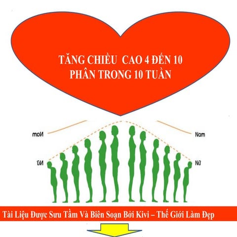 Phuongphaptapthehinh 5241 | PDF