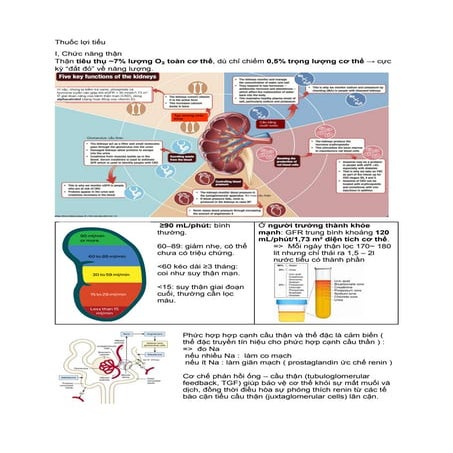 Thuo%CC%82%CC%81c%20lo%CC%9B%CC%A3i%20tie%CC%82%CC%89u.pdf
