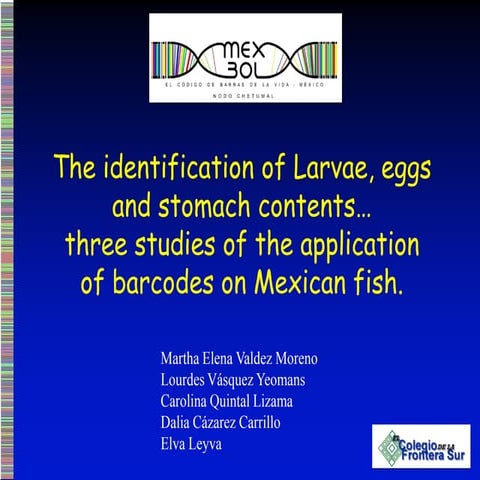 TLE 8 Q2 6. discuss fish species in the Philippines.pptx