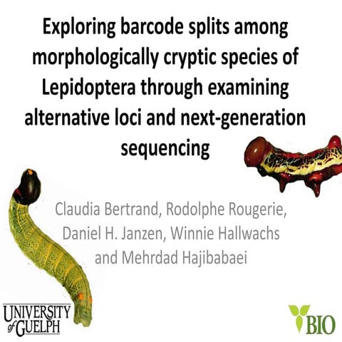 Claudia Bertrand - Invertebrates Plenary | PPT