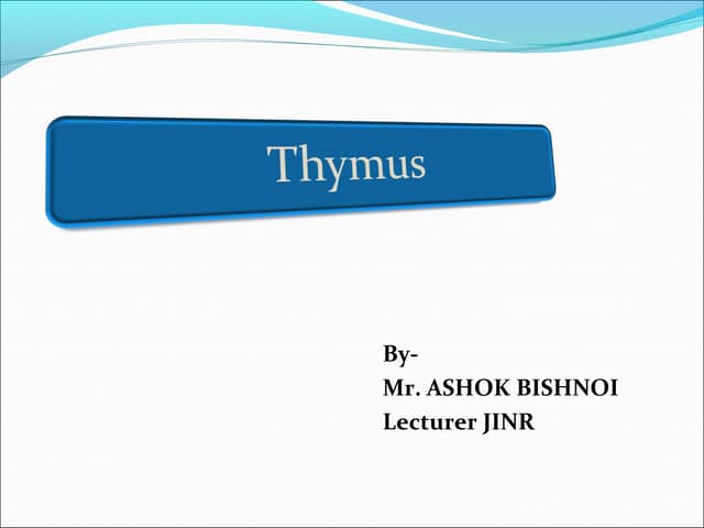 Thymus | PPTX