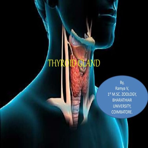 Thyroid | PPTX