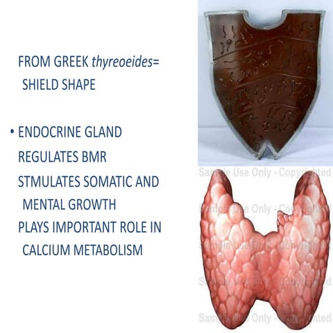 THYROID.pptx