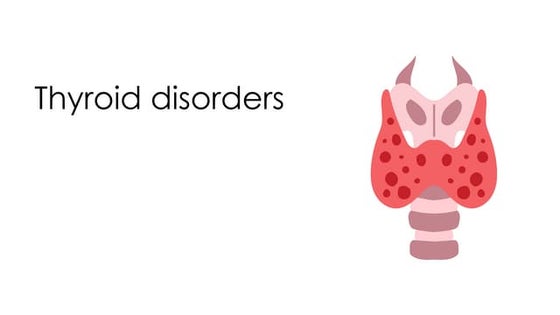 Titrating Levothyroxine and Antithyroid Medications Based on Thyroid ...