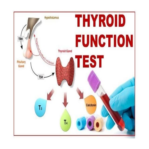 Thyroid Function Test and related disorders.pptx