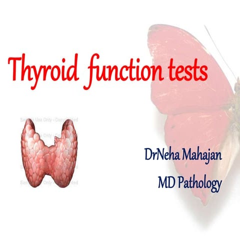 Thyroid Function Tests Tft