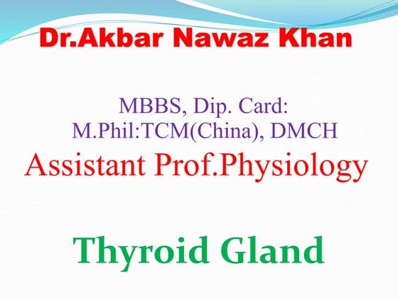 Endocrine physiology MCQs | PDF