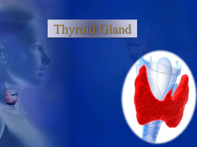 Thyroid gland (functions) | PPTX