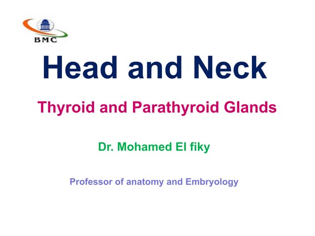Development of Thyroid Gland (Special Embryology) | PPS