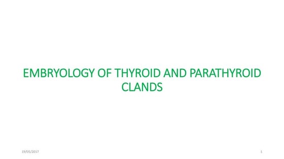 Development of Thyroid Gland (Special Embryology) | PPS