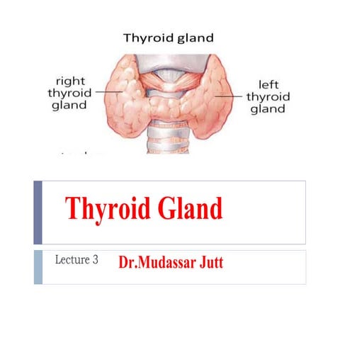 Thyroid gland | PPTX