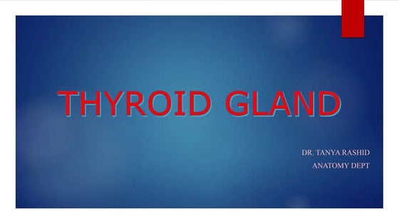 Anatomy of thyroid gland | PPTX | Thyroid Disorders | Endocrine and ...