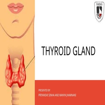 Thyroid Gland pharmacy semester 2 anatomy .pptx